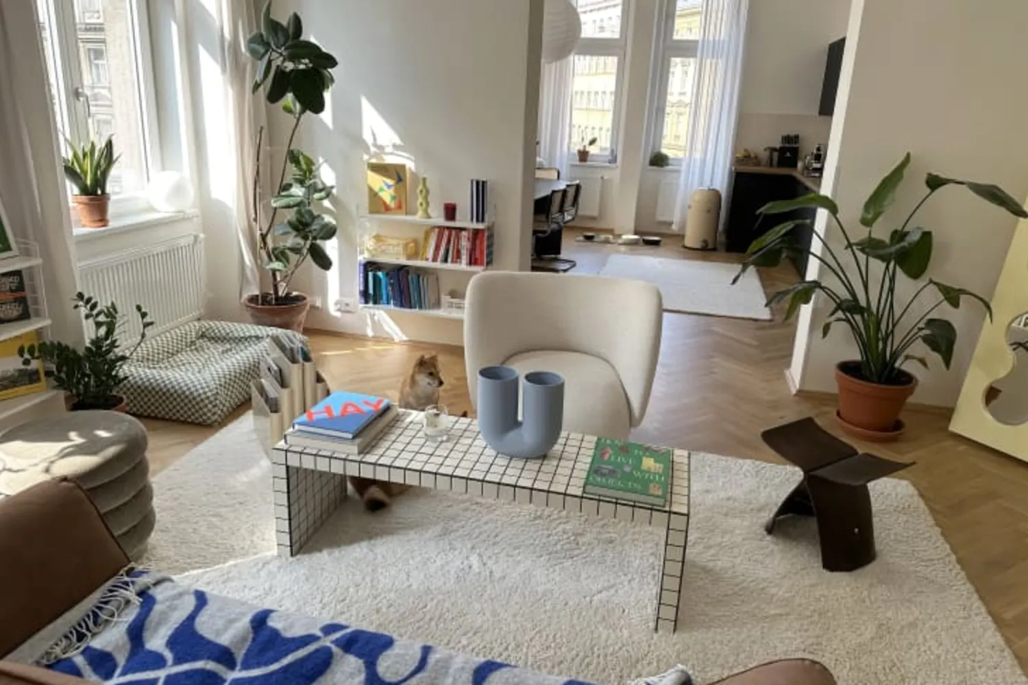 Apartment Living Tips for Modern Urban Life - Modern Apartment Living ...